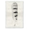 Hawk Feather Print #8